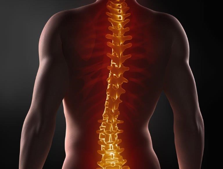 Lesões na coluna são a principal causa de incapacidade mas podem ser ...