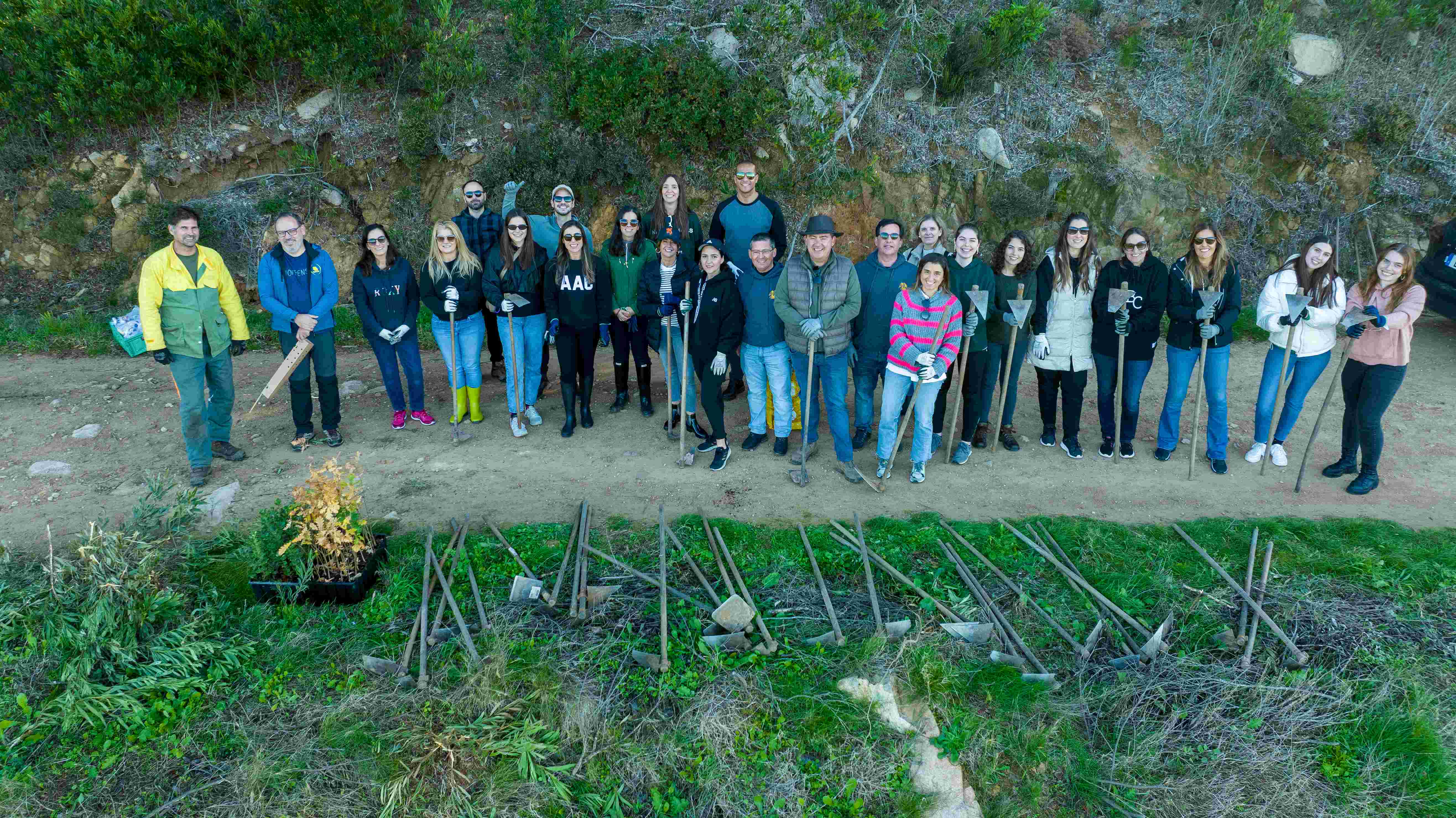Colaboradores das AstraZeneca plantam mais de 1.600 árvores no Parque ...