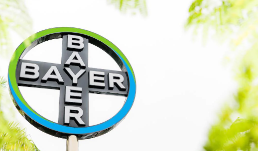 Bayer foi distinguida como “Top Employer 2023” pela primeira vez em ...