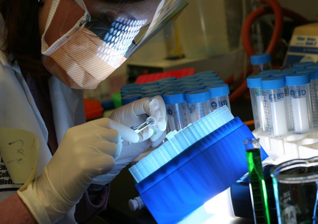 Talidomida é esperança no tratamento do cancro da mama | Atlas da Saúde