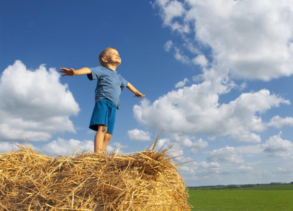 Ar mais limpo salvaria 2 milhões de vidas por ano | Atlas da Saúde