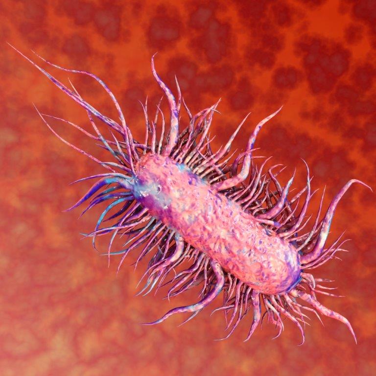 Cientistas descobrem mecanismo para combater bactérias multiresistentes ...