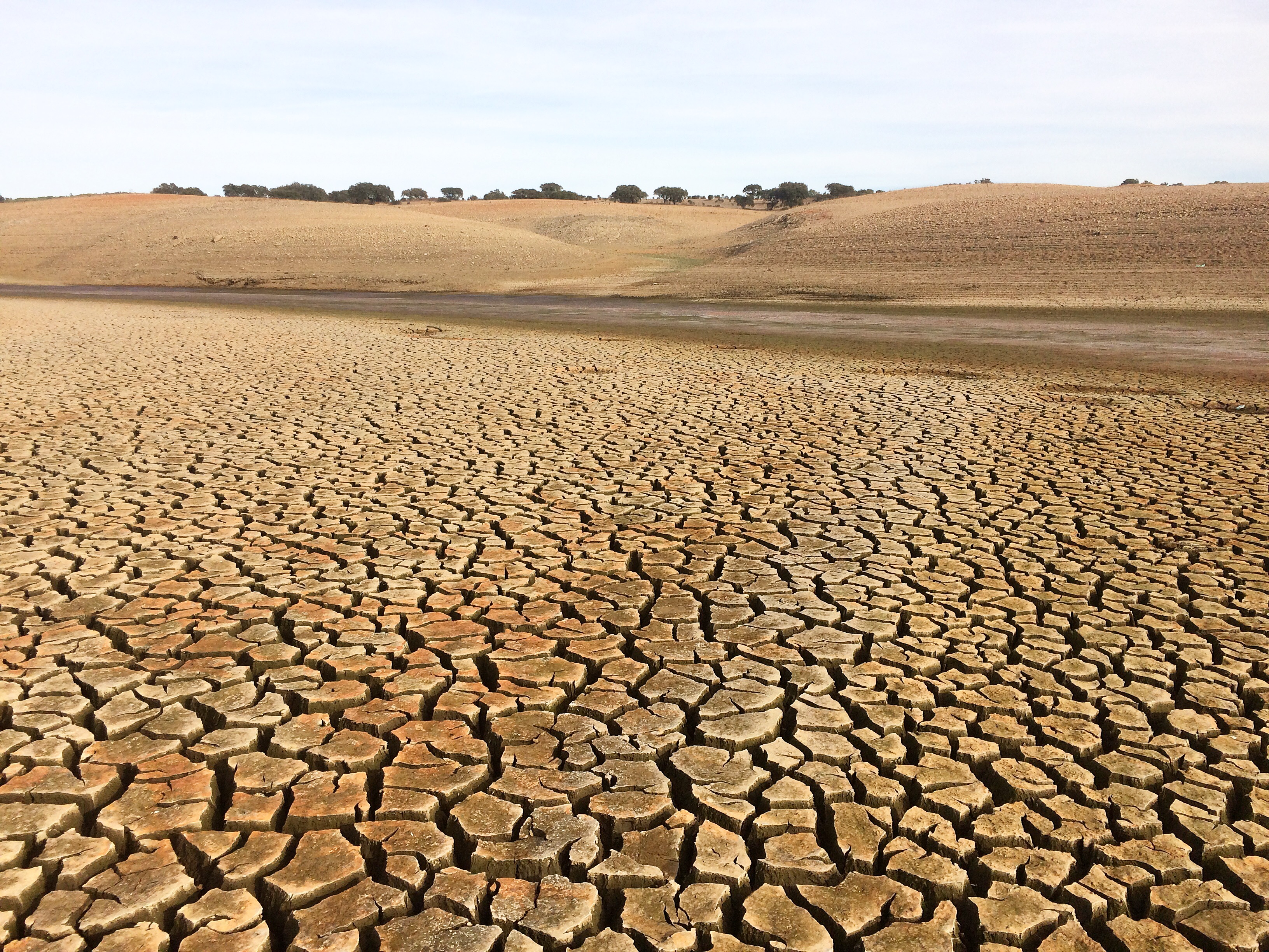 Seca tem efeito “dramático” na emissão de gases com efeito de estufa ...