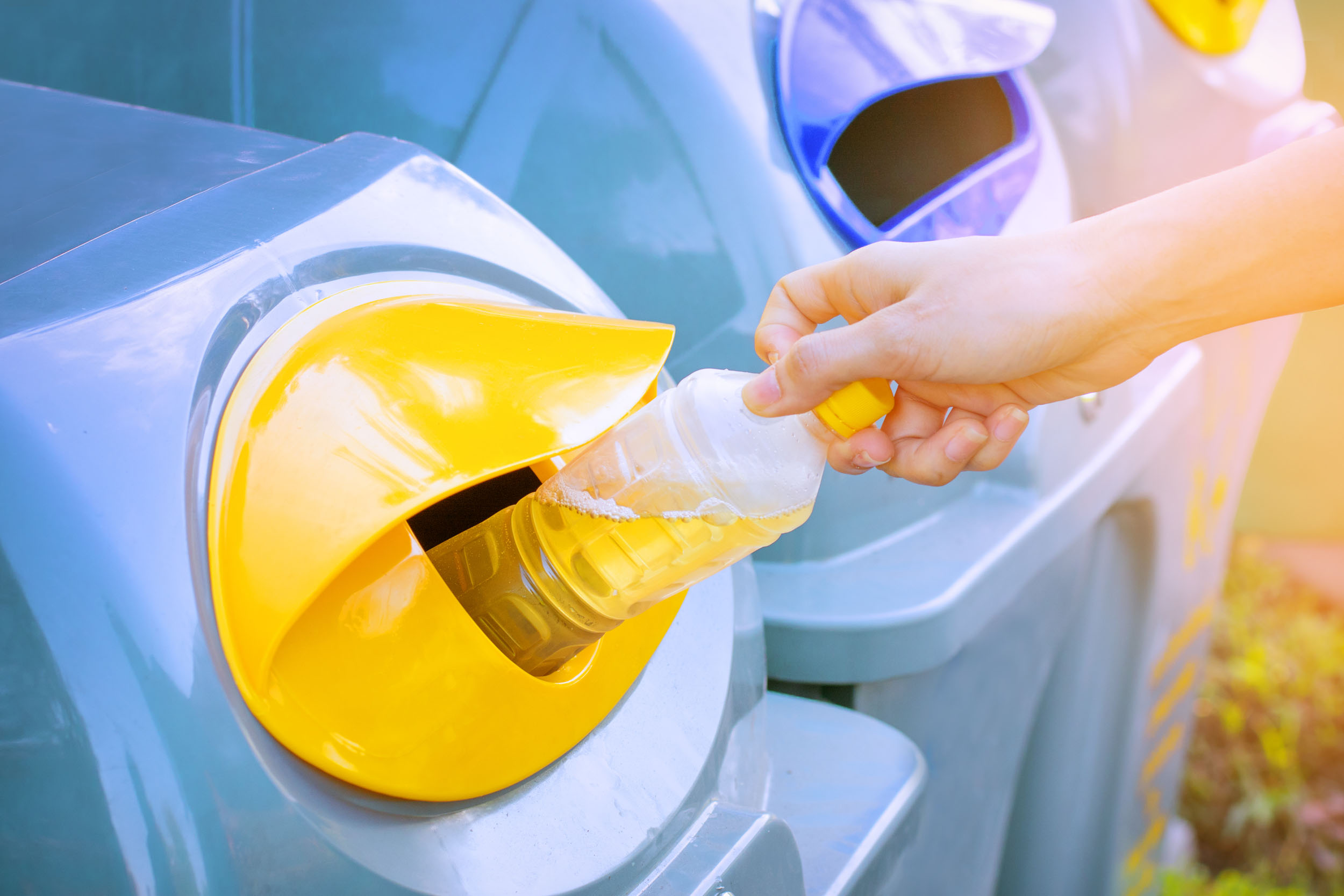 Sociedade Ponto Verde agradece aos portugueses empenho em prol da ...