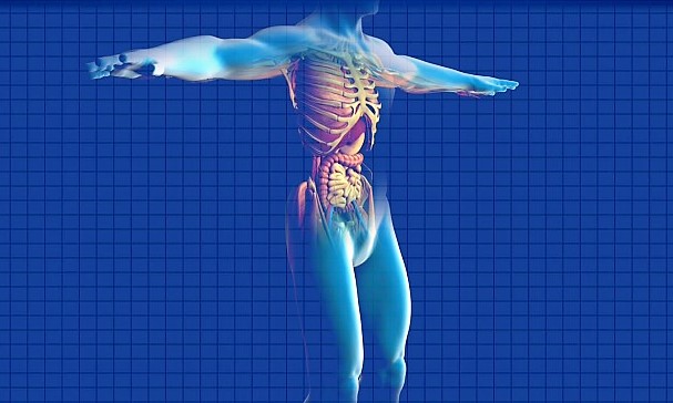 Inteligência Artificial aplicada à cápsula endoscópica em foco na ... Inteligência Artificial aplicada à cápsula endoscópica em foco na ...