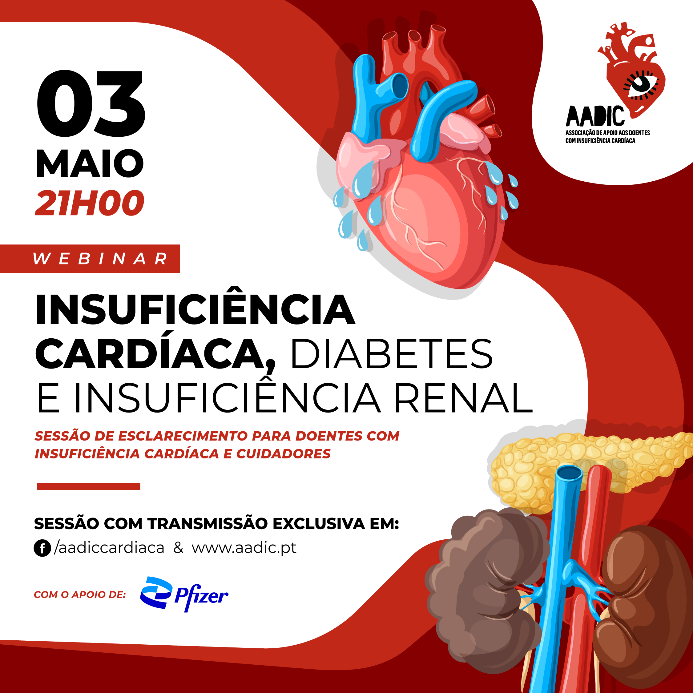 Webinar da AADIC aborda relação entre Insuficiência Cardíaca, Diabetes ...
